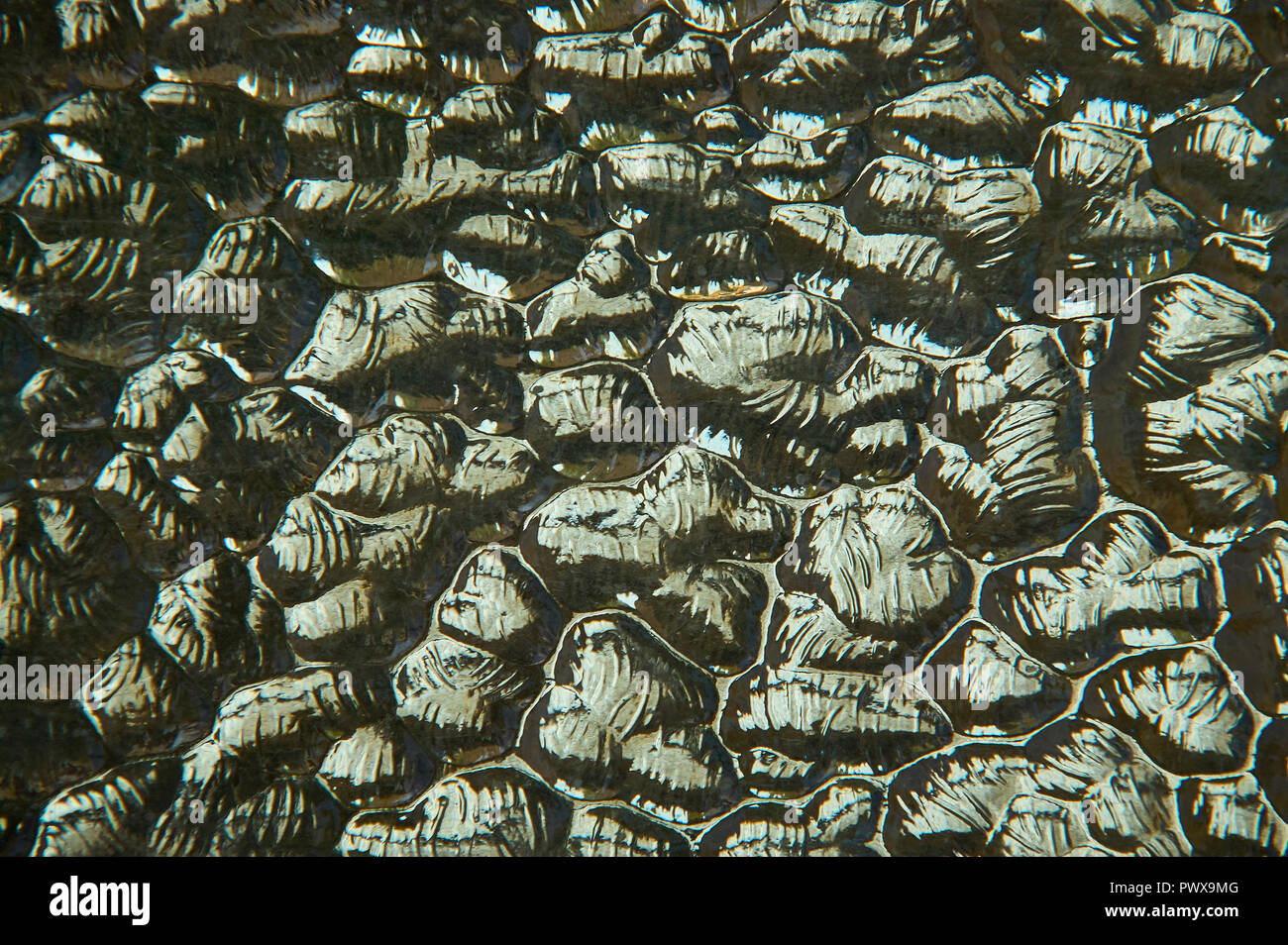 smoked glass texture that is part of a vintage industrial window Stock ...