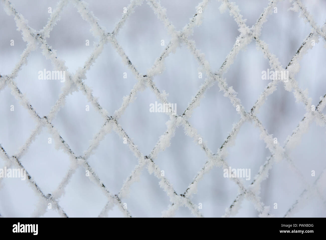 Lattice fence hi-res stock photography and images - Alamy