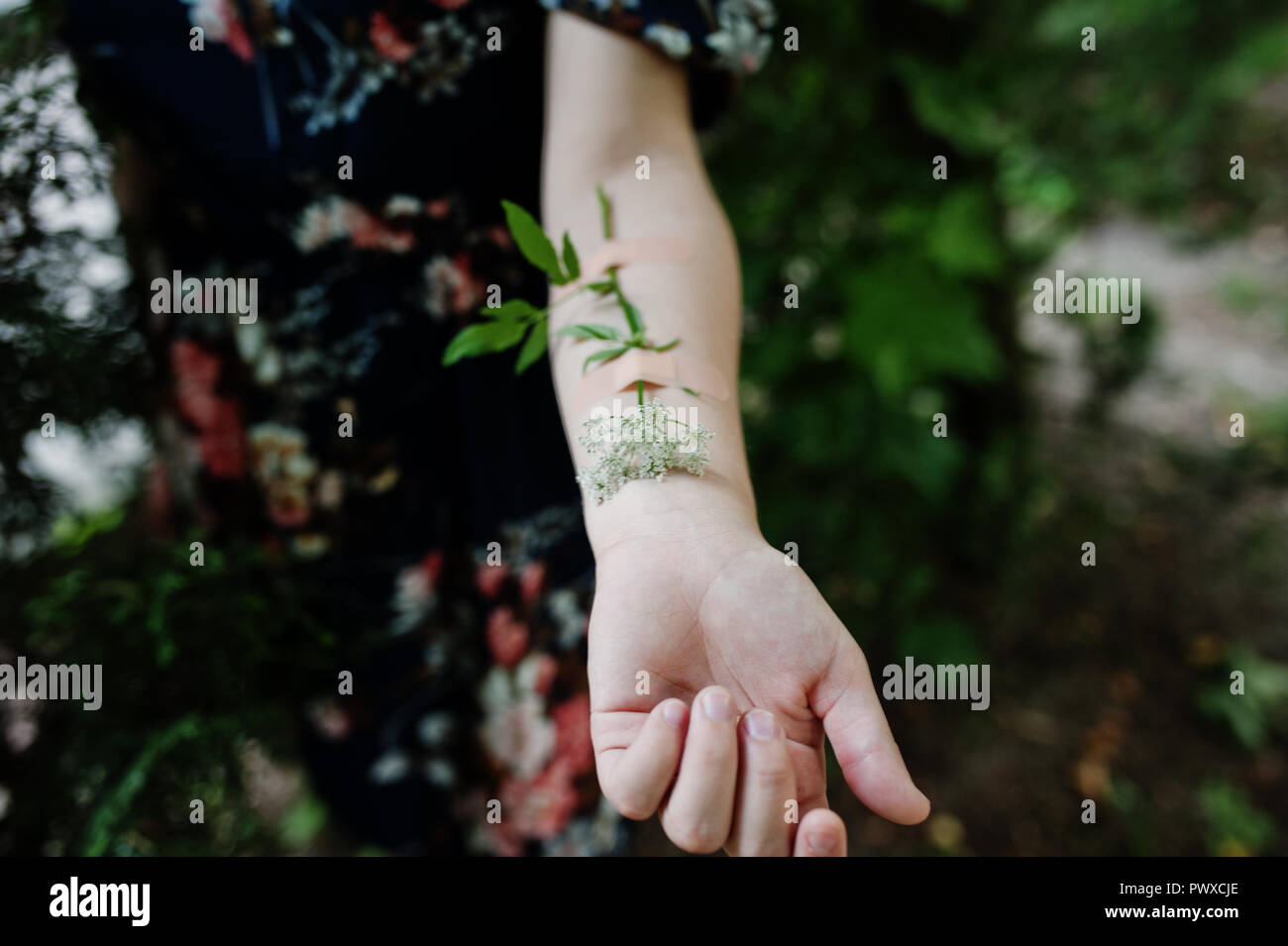 Close-up photo of a flower taped to a female arm Stock Photo - Alamy