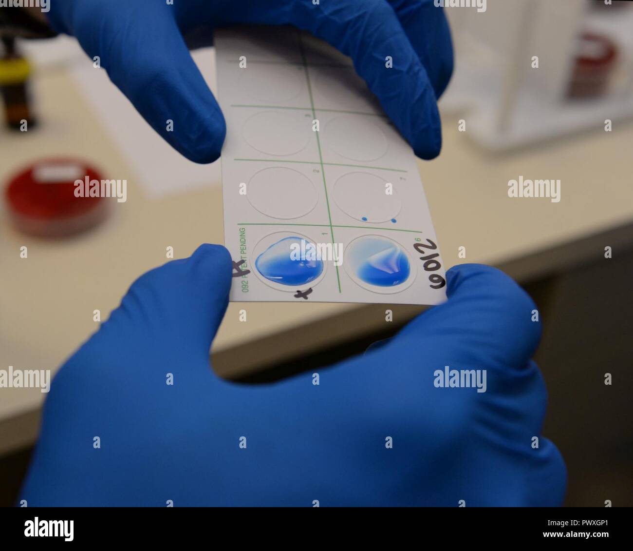 Airman 1st Class Casey Williamson, 88th Diagnostics and Therapeutic ...
