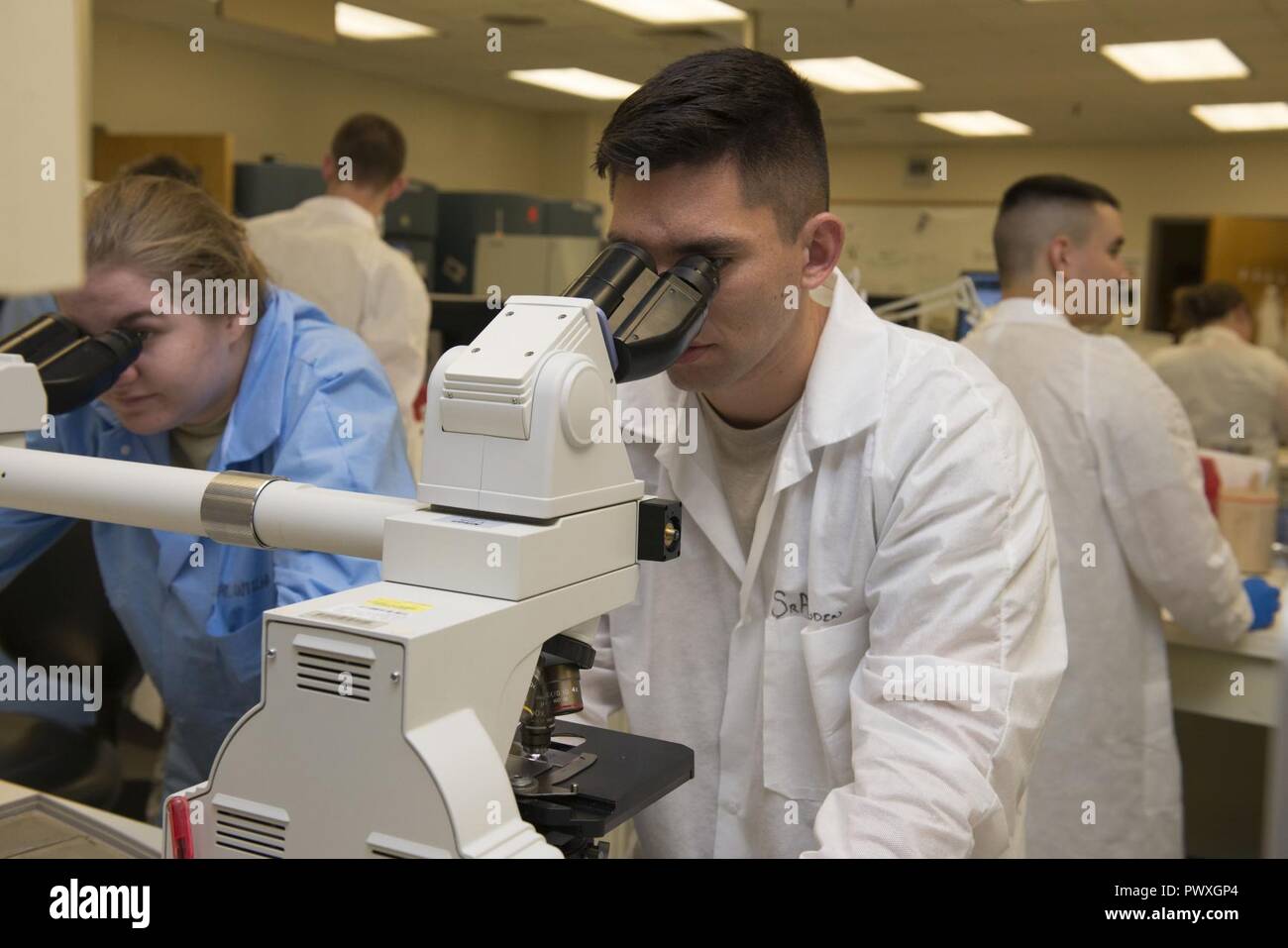 Bacteria gram stain hi-res stock photography and images - Alamy