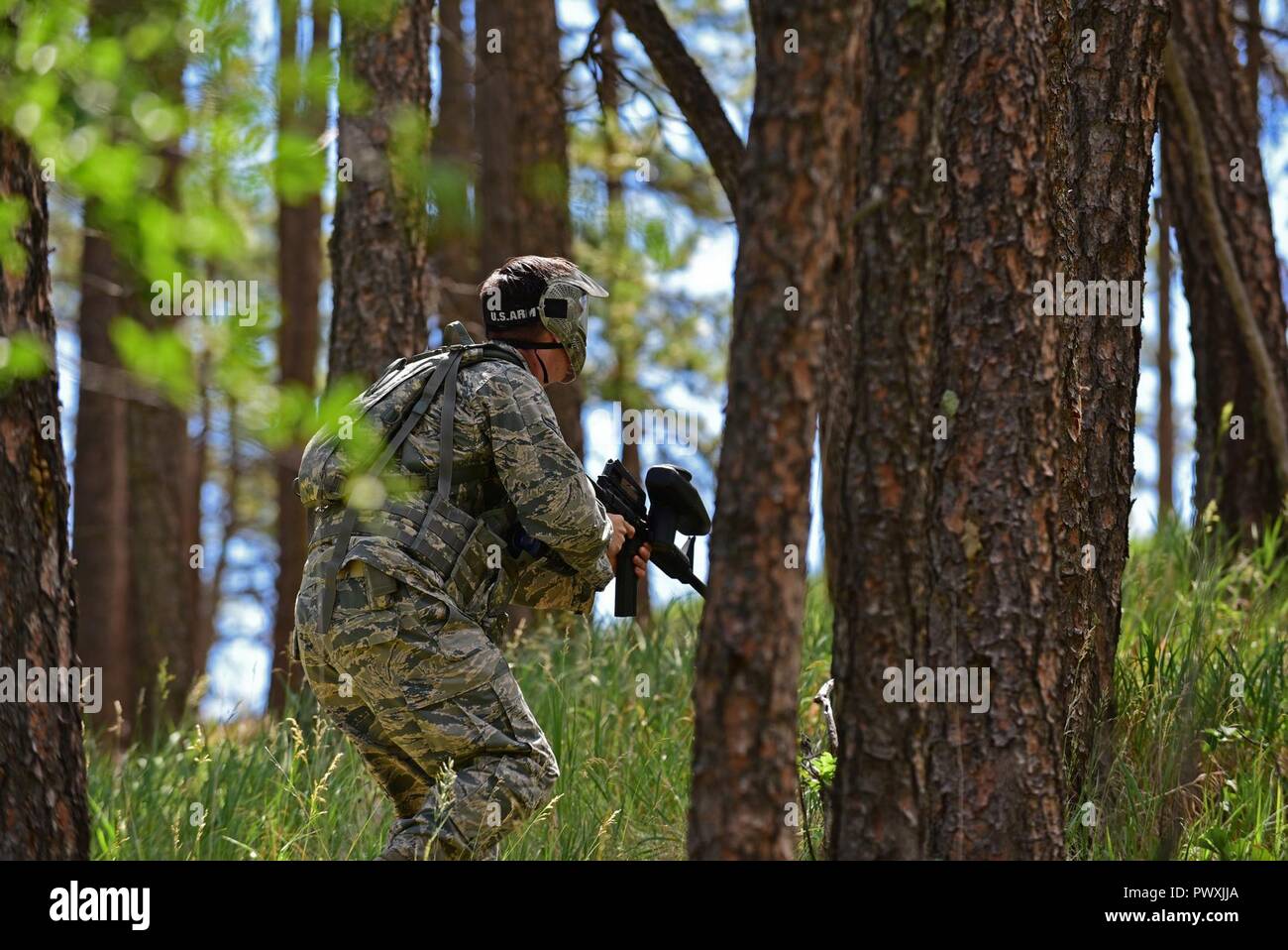 An Airman assigned to the 28th Civil Engineer Squadron uses trees as ...
