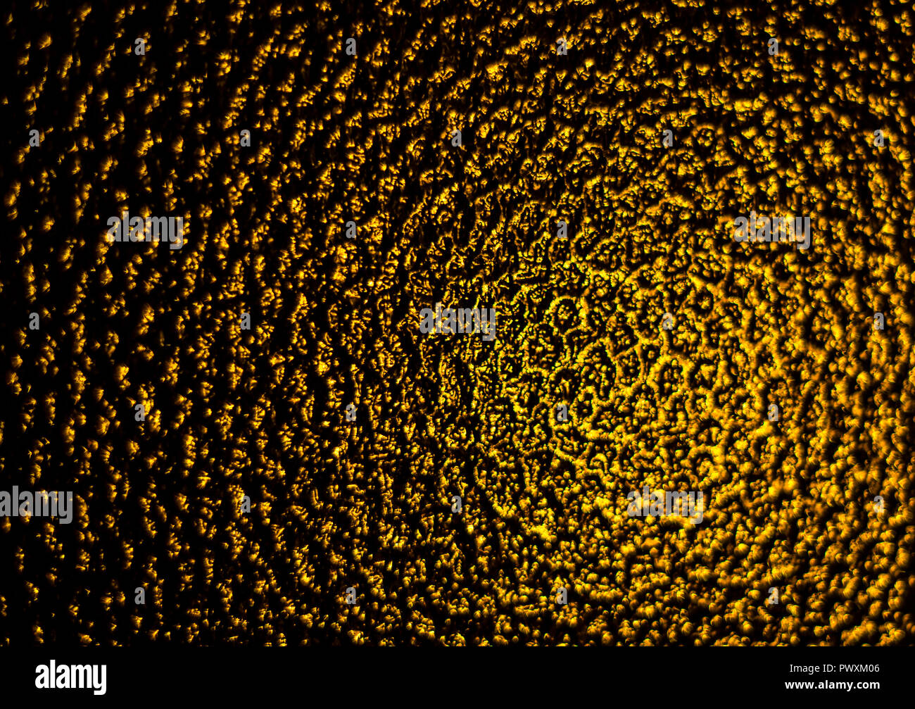 Macro Surface, The Beauty of the Unseen Abstract Textures & Backgrounds ...