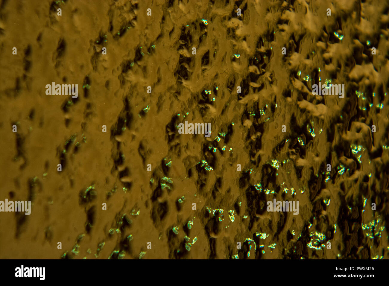 Macro Surface, The Beauty of the Unseen Abstract Textures & Backgrounds ...