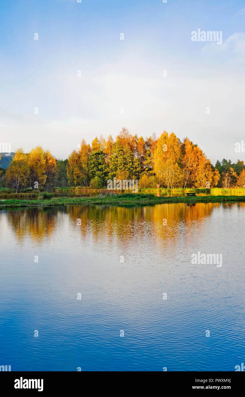 Late afternoon autumn sunshine on trees reflected in lake at ...
