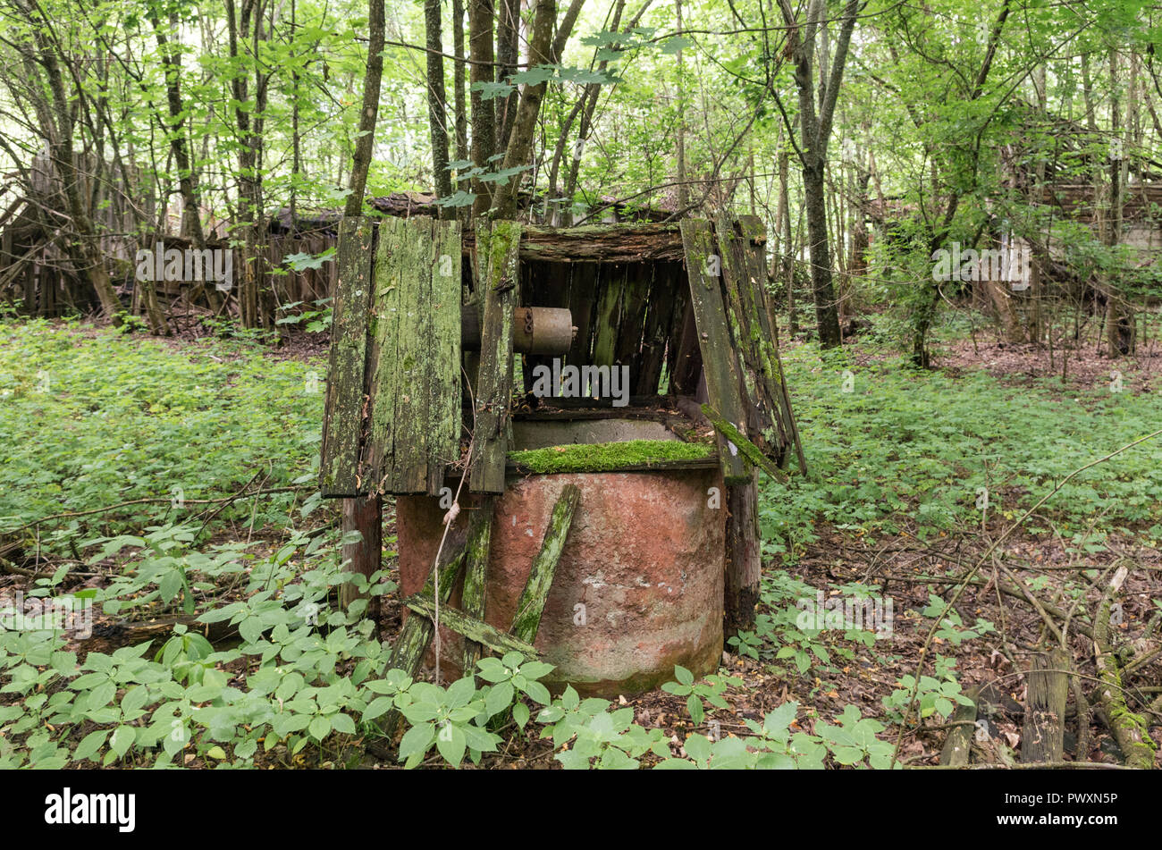 An old collapsed well. A well overgrown with moss. Sadness and ...