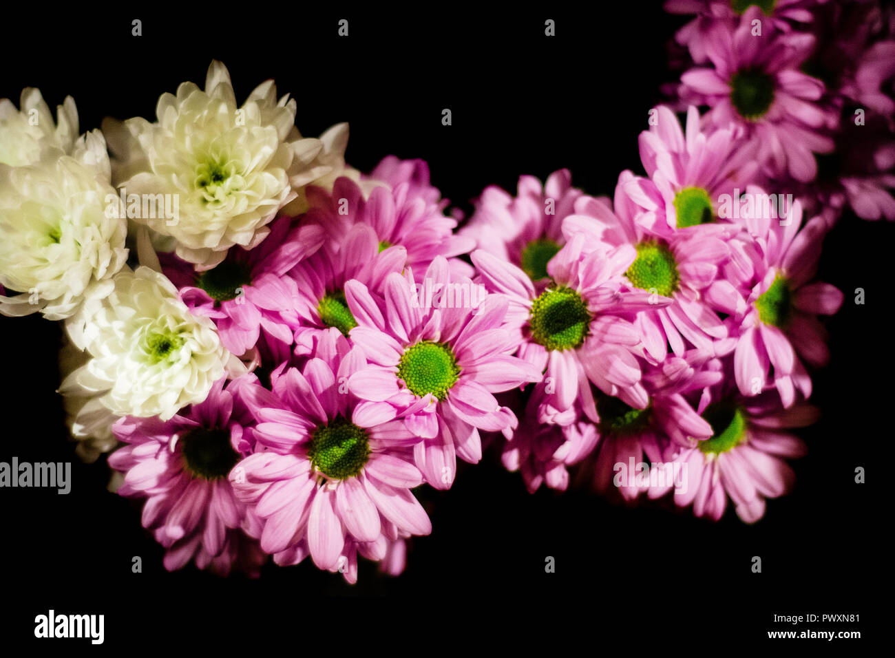 Spring Flowers with Cheerful Colors in the Athens National Garden, Feel ...