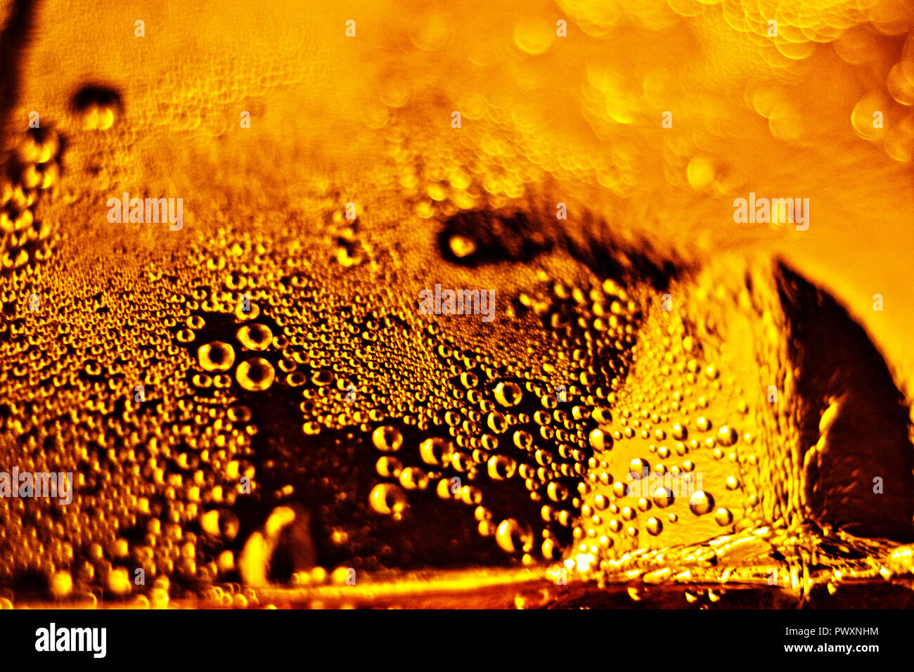 Macro Surface, The Beauty of the Unseen Abstract Textures & Backgrounds ...