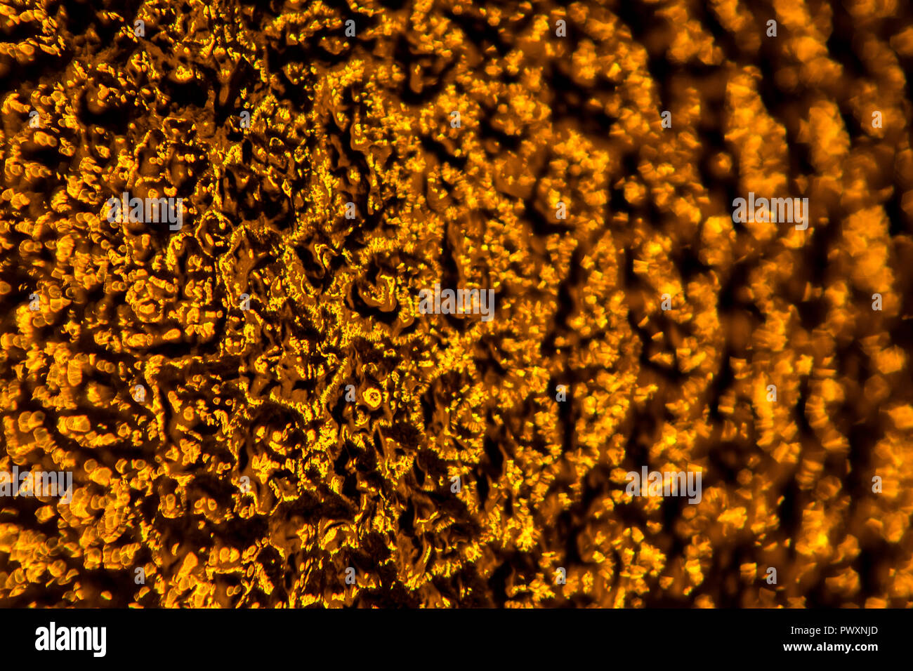 Macro Surface, The Beauty of the Unseen Abstract Textures & Backgrounds ...