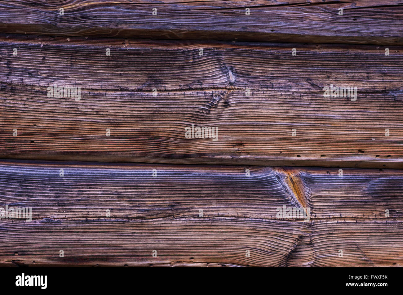 Texture of an old tree. The backdrop of an old tree. Natural wood ...