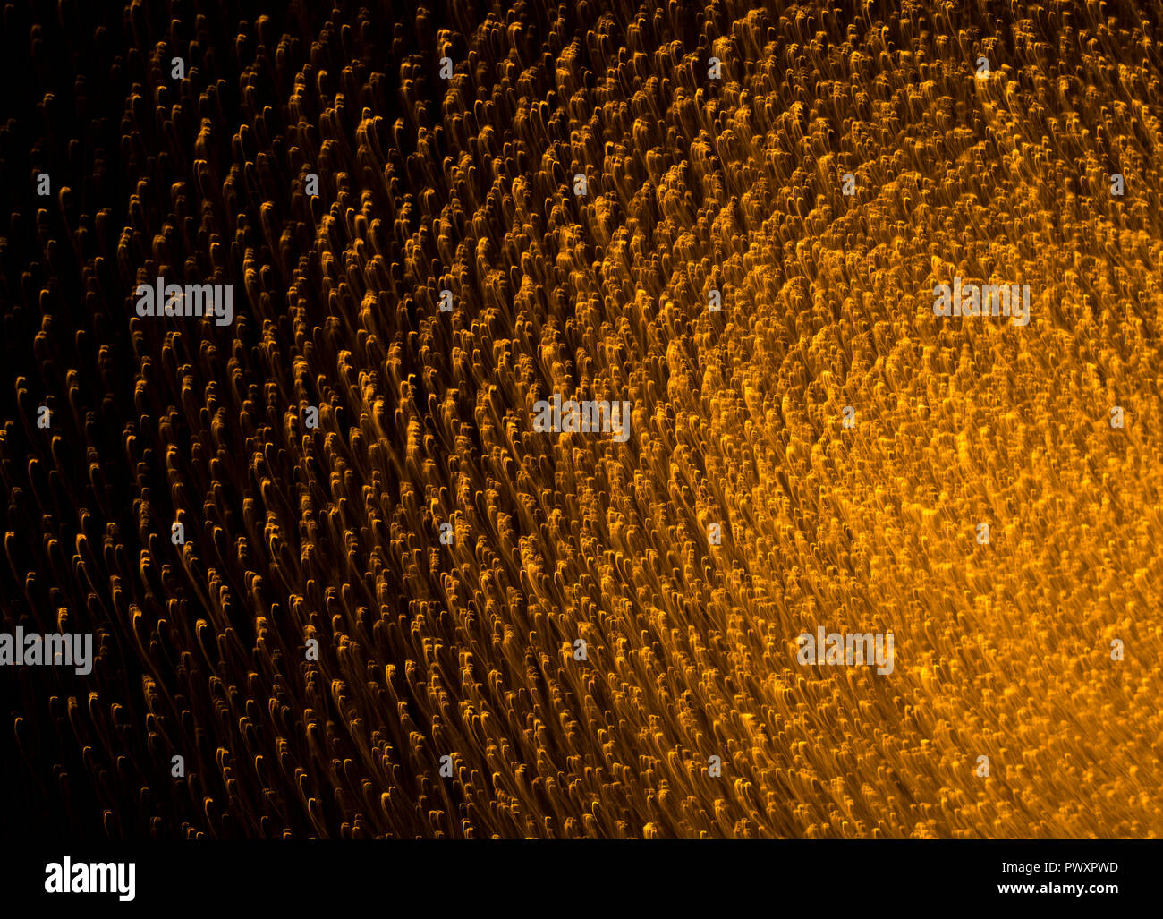 Macro Surface, The Beauty of the Unseen Abstract Textures & Backgrounds ...