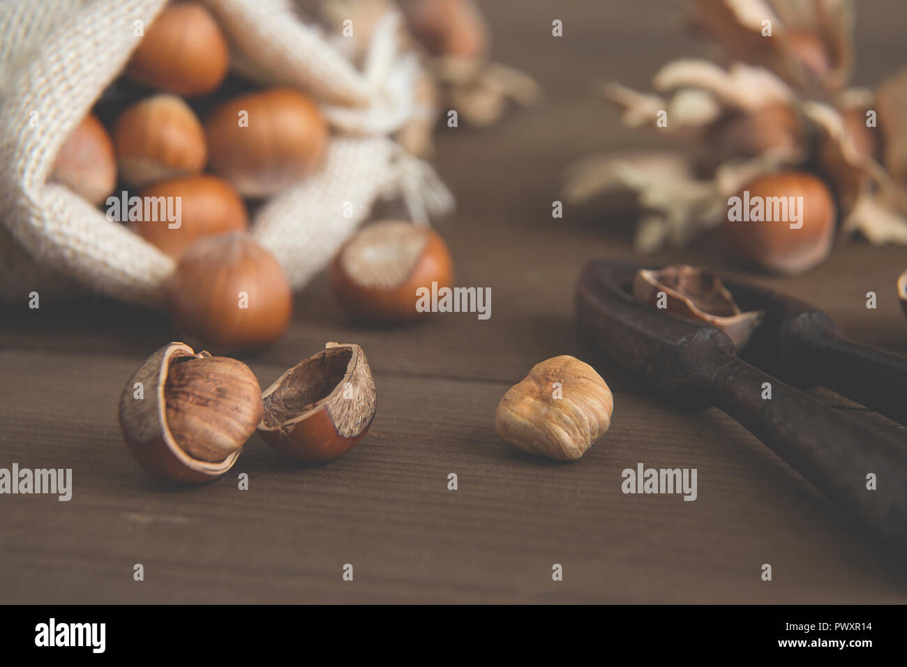 Table with whole and shelled hazelnuts, old nutcracker and jute sack ...