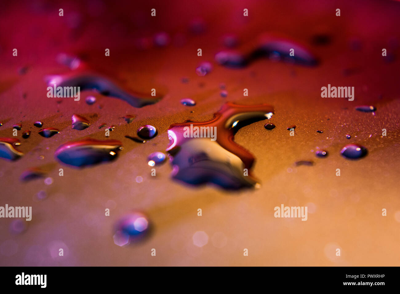 Macro Surface, The Beauty of the Unseen Abstract Textures & Backgrounds ...
