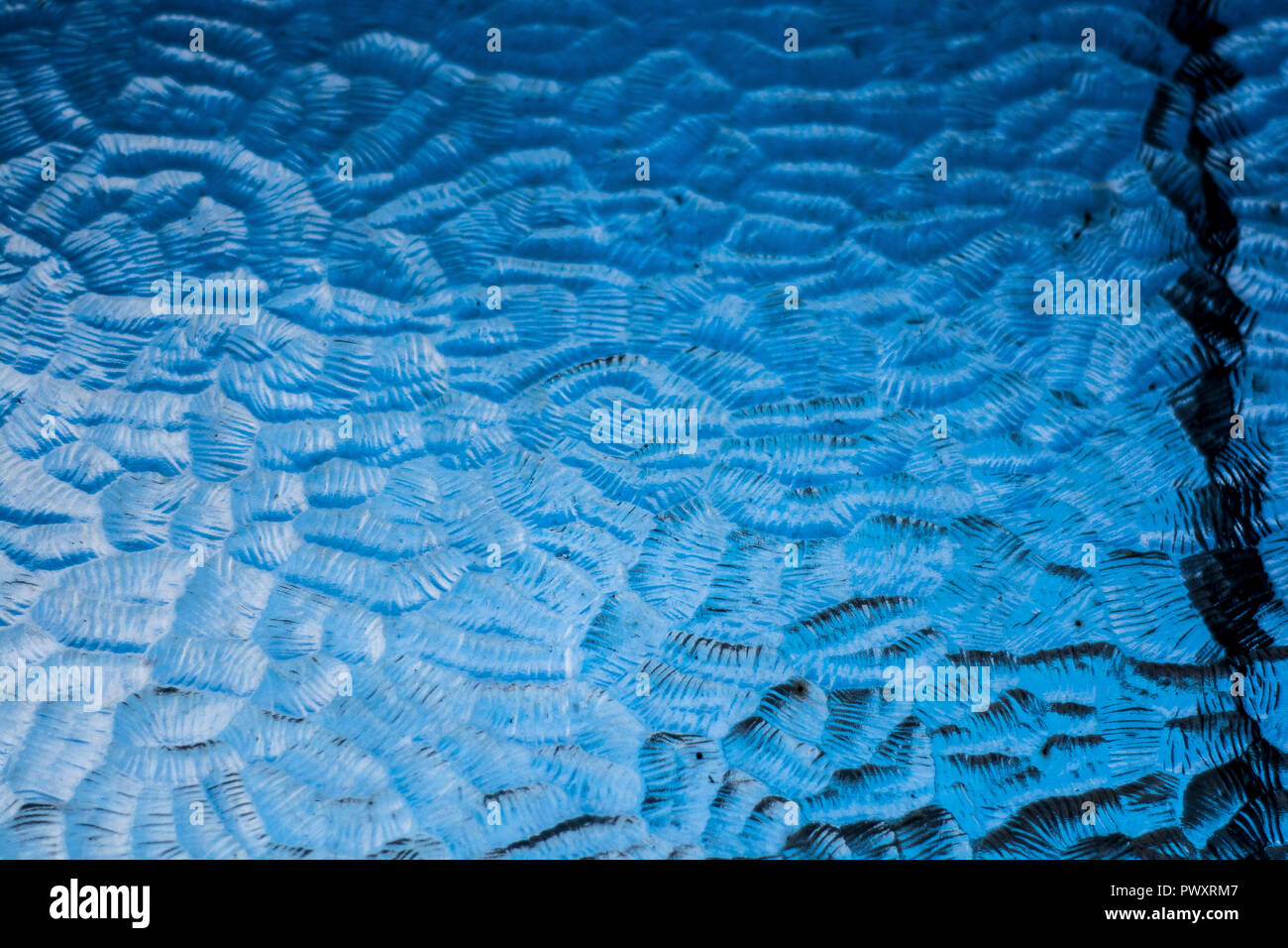 Macro Surface, The Beauty of the Unseen Abstract Textures & Backgrounds ...
