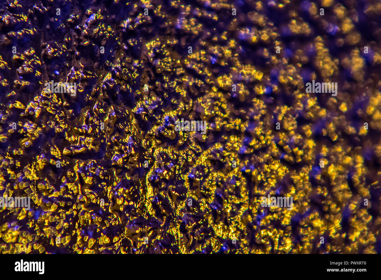 Macro Surface, The Beauty of the Unseen Abstract Textures & Backgrounds ...