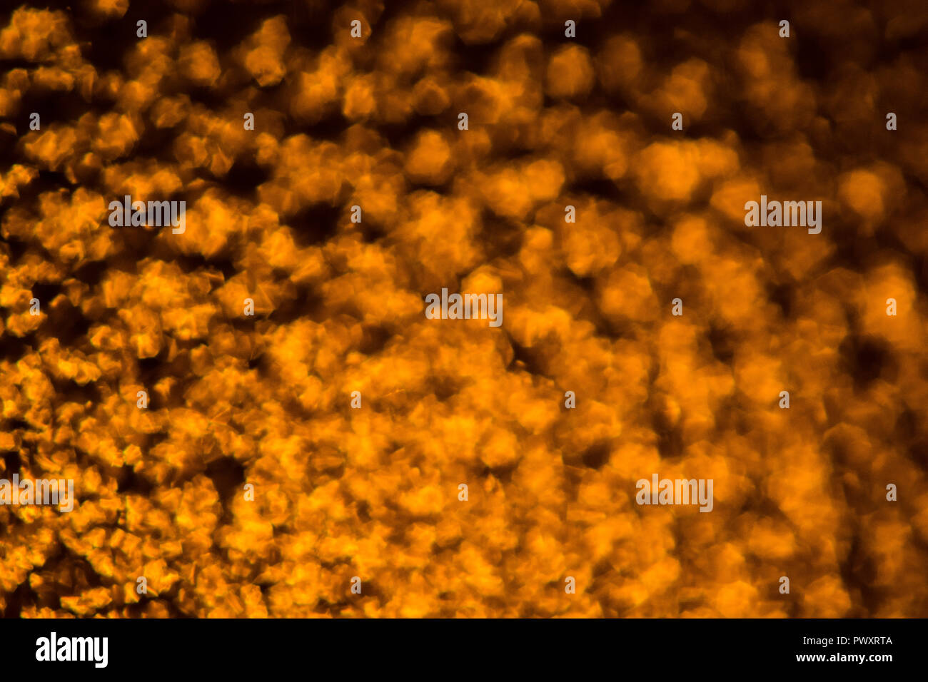 Macro Surface, The Beauty of the Unseen Abstract Textures & Backgrounds ...
