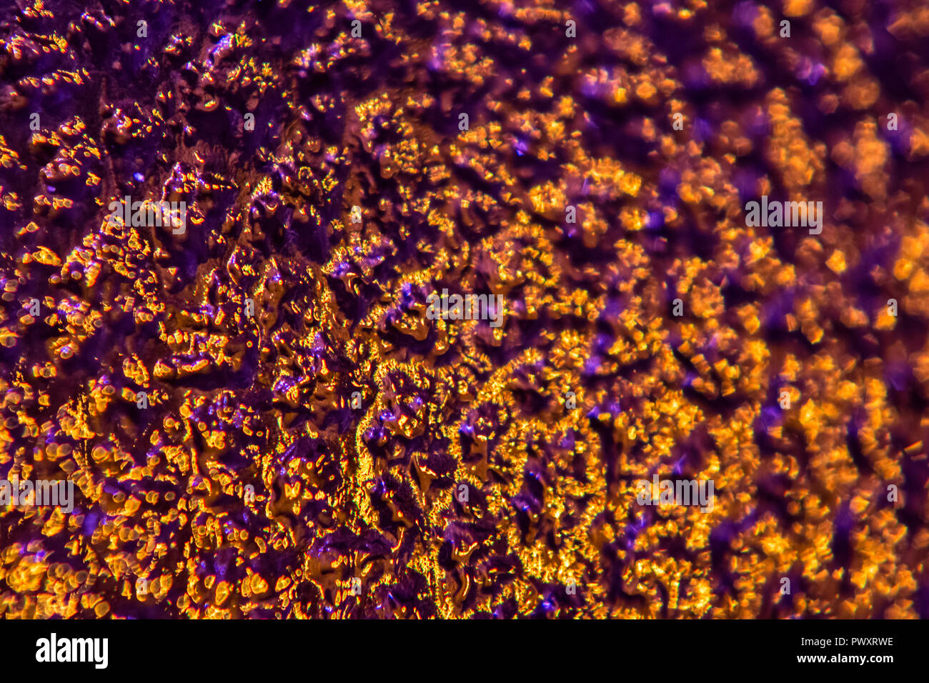 Macro Surface, The Beauty of the Unseen Abstract Textures & Backgrounds ...