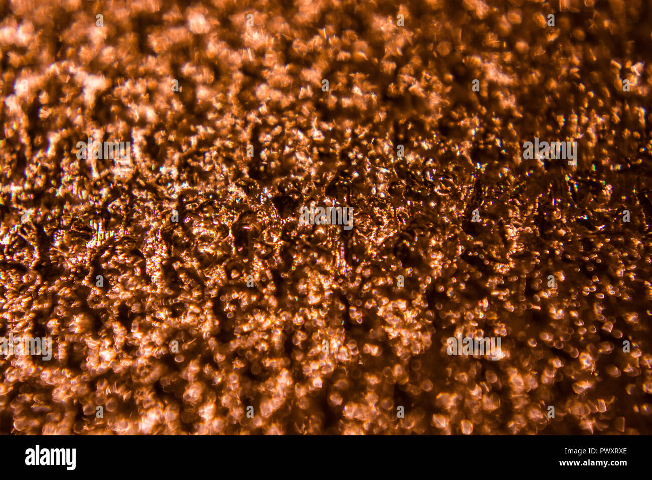 Macro Surface, The Beauty of the Unseen Abstract Textures & Backgrounds ...