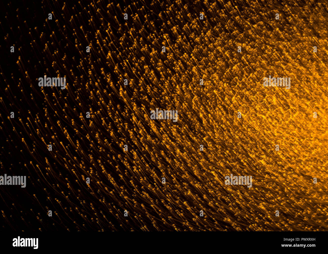 Macro Surface, The Beauty of the Unseen Abstract Textures & Backgrounds ...