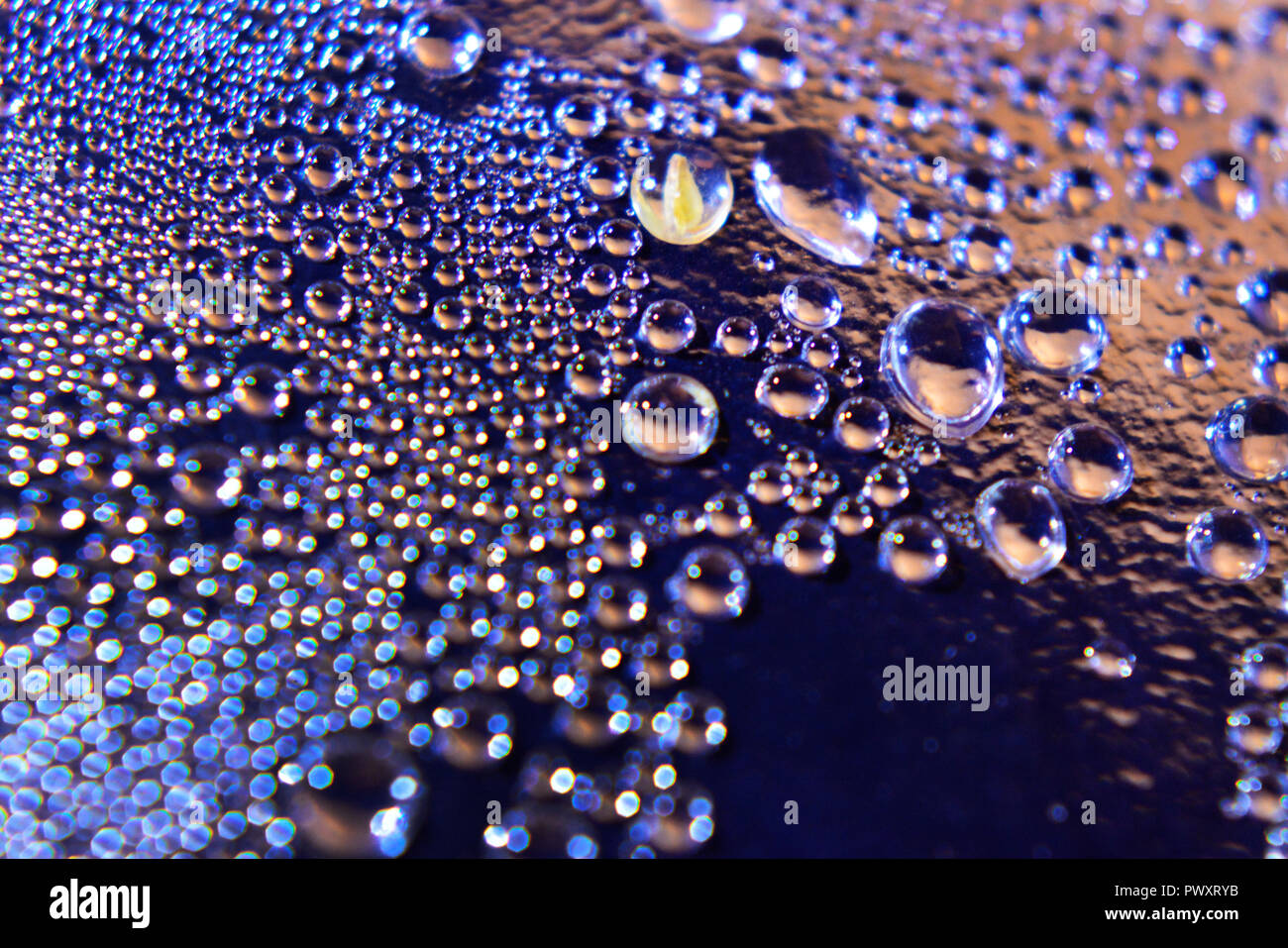 Macro Surface, The Beauty of the Unseen Abstract Textures & Backgrounds ...