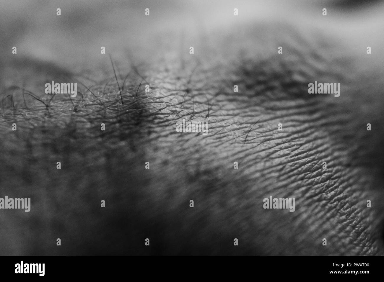 Macro Surface, The Beauty of the Unseen Abstract Textures & Backgrounds ...