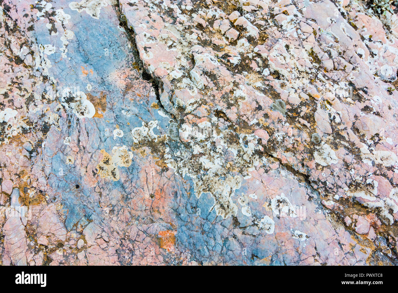 Macro Surface, The Beauty of the Unseen Abstract Textures & Backgrounds ...