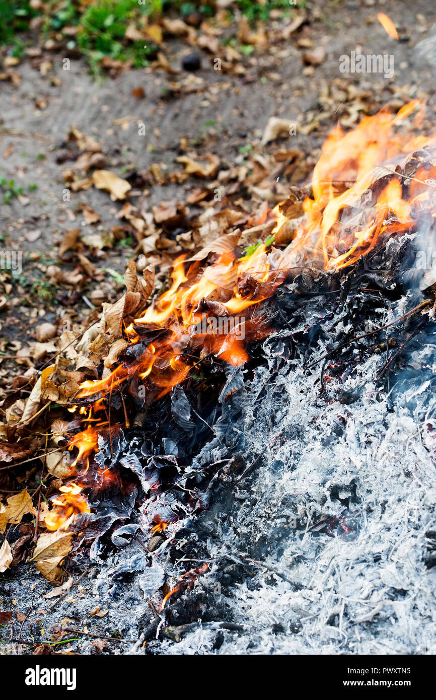 Fire in the garden. Burning autumn leaves Stock Photo - Alamy