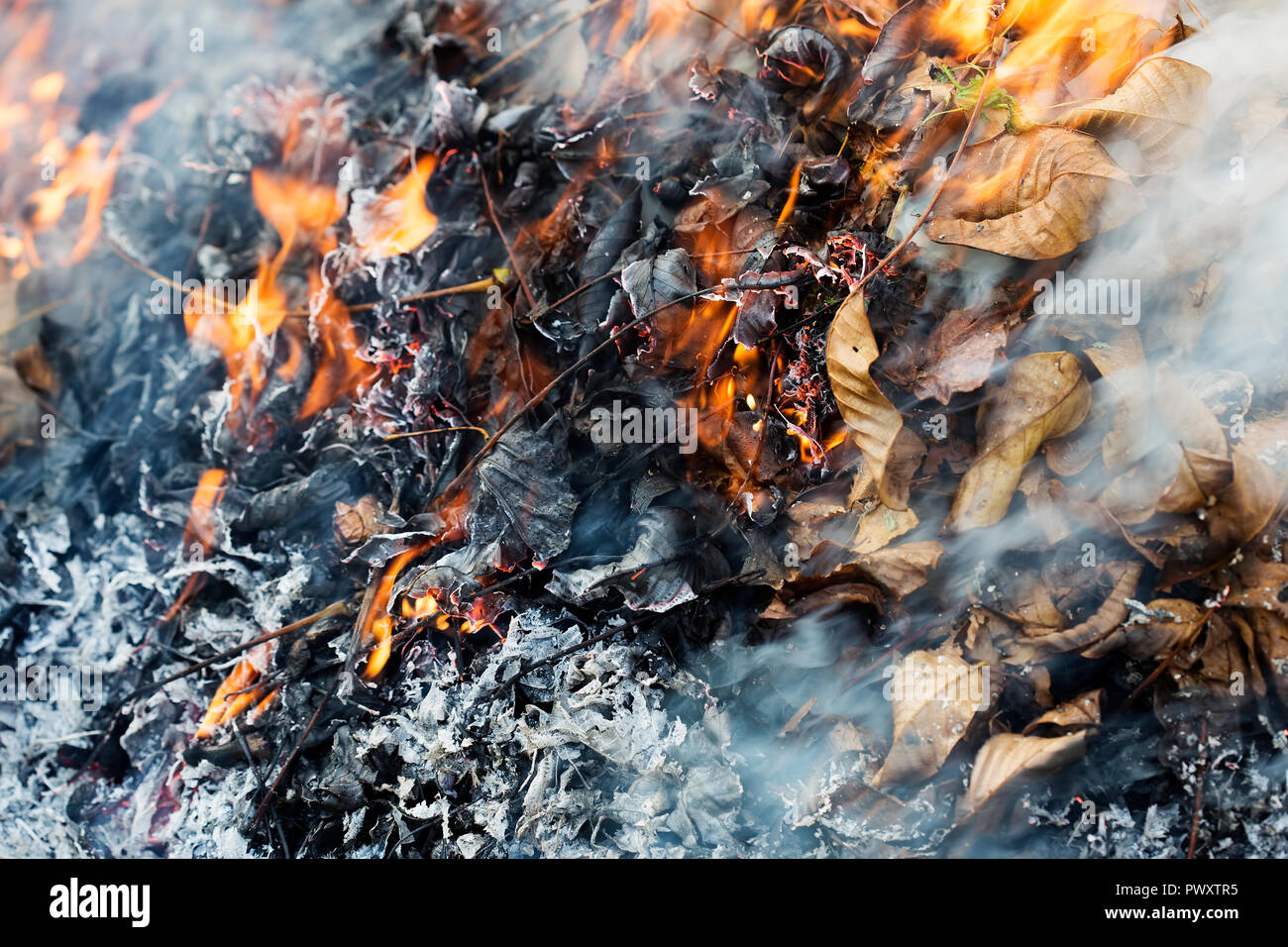 Burning leaves fire cleaning hi-res stock photography and images - Alamy