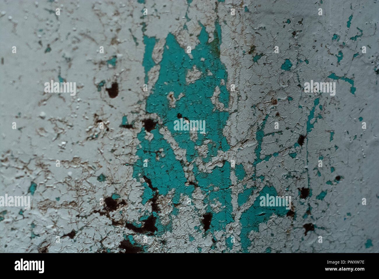 Macro Surface, The Beauty of the Unseen Abstract Textures & Backgrounds ...