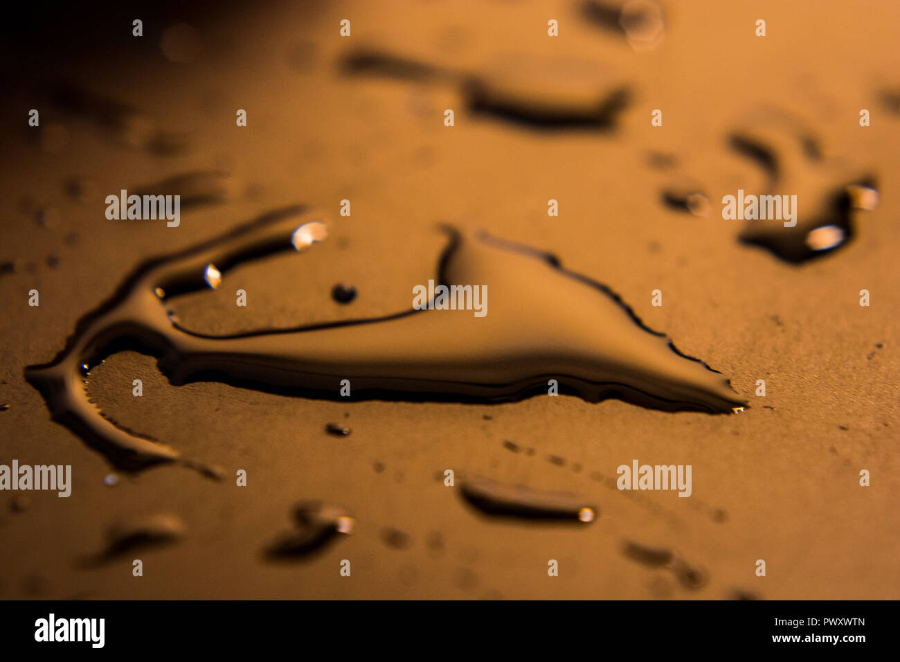 Macro Surface, The Beauty of the Unseen Abstract Textures & Backgrounds ...