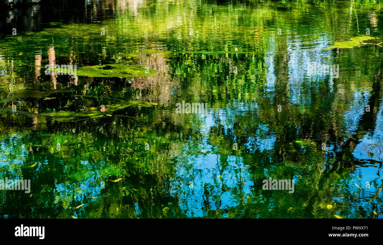 The Mesmerizing & Cheerful Colors of Nature all around us, Athens ...