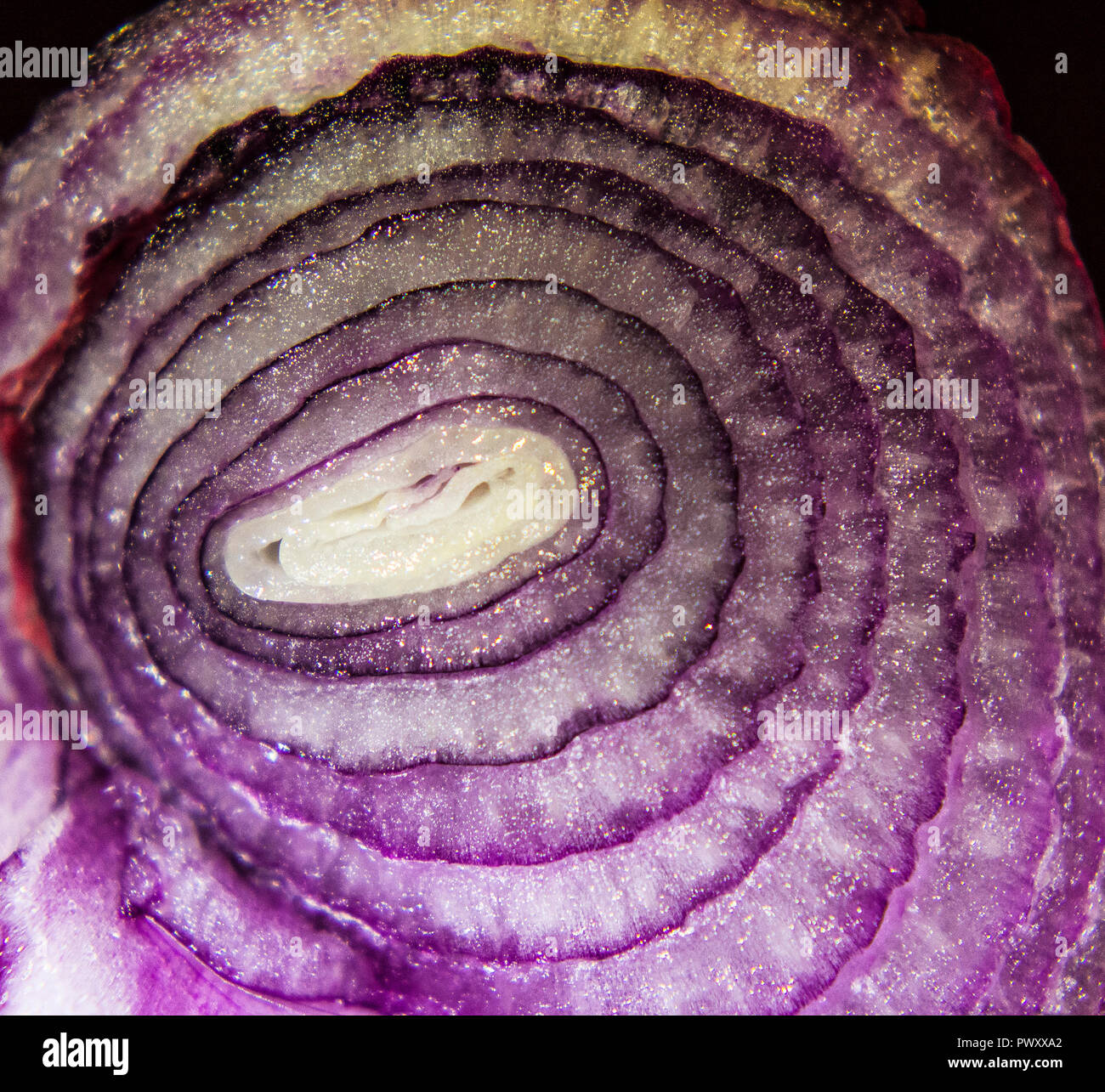 Macro Surface, The Beauty of the Unseen Abstract Textures & Backgrounds ...