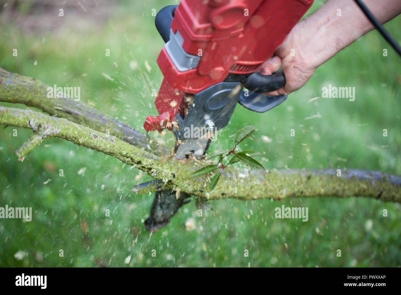 Cutting trees hi-res stock photography and images - Alamy