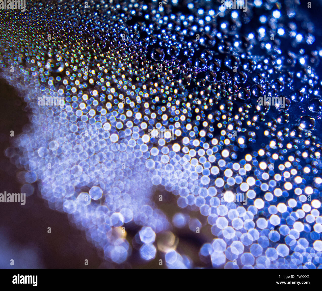 Macro Surface in the Kitchen, a Secret Universe of Bubbles and Water ...