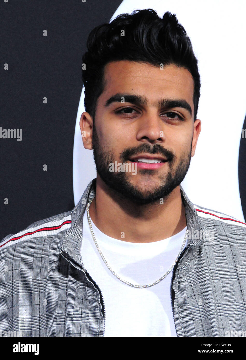 Hollywood, California, USA. 17th October, 2018. Influencer/youtuber ...