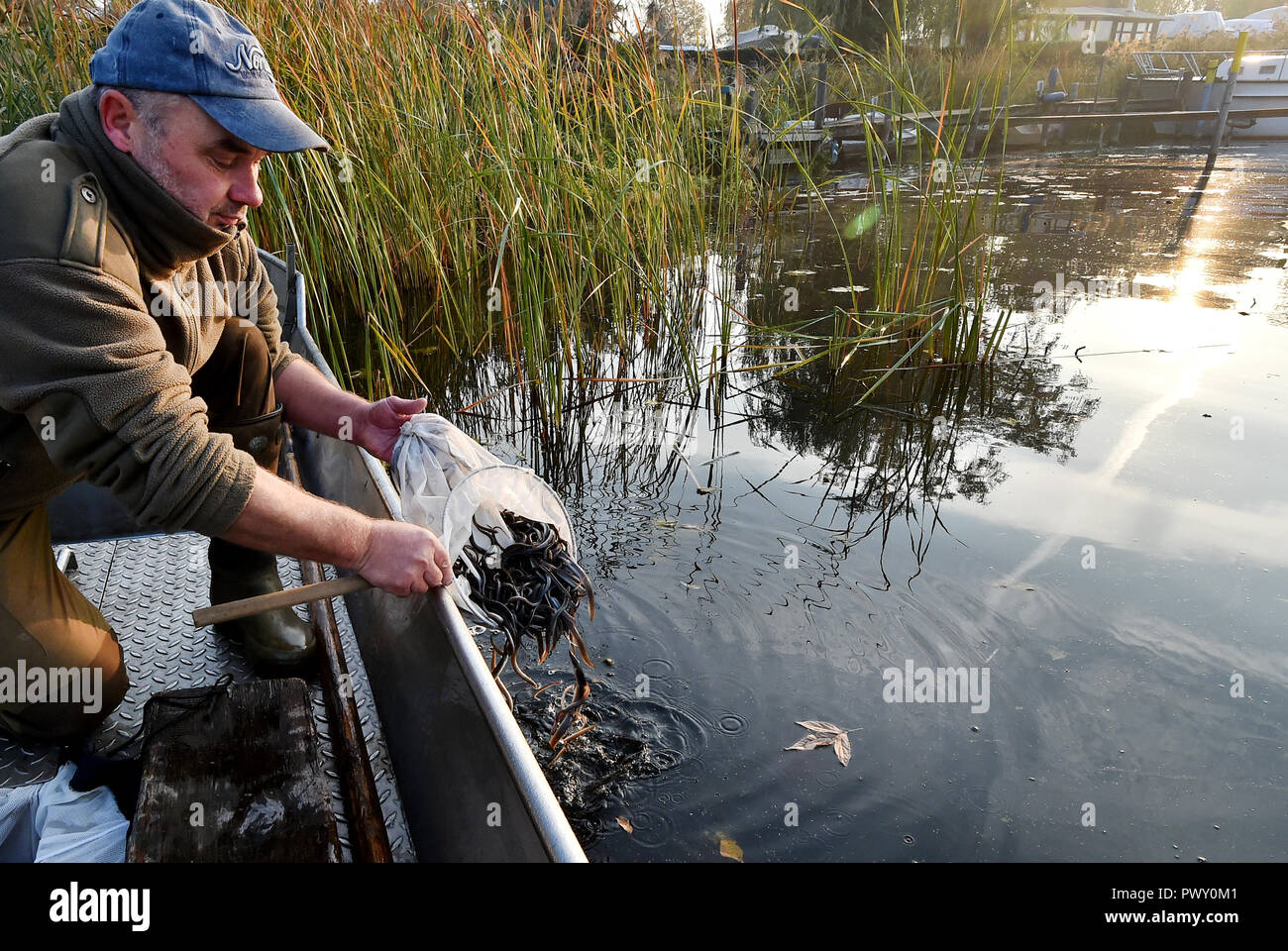 Reed number hi-res stock photography and images - Alamy