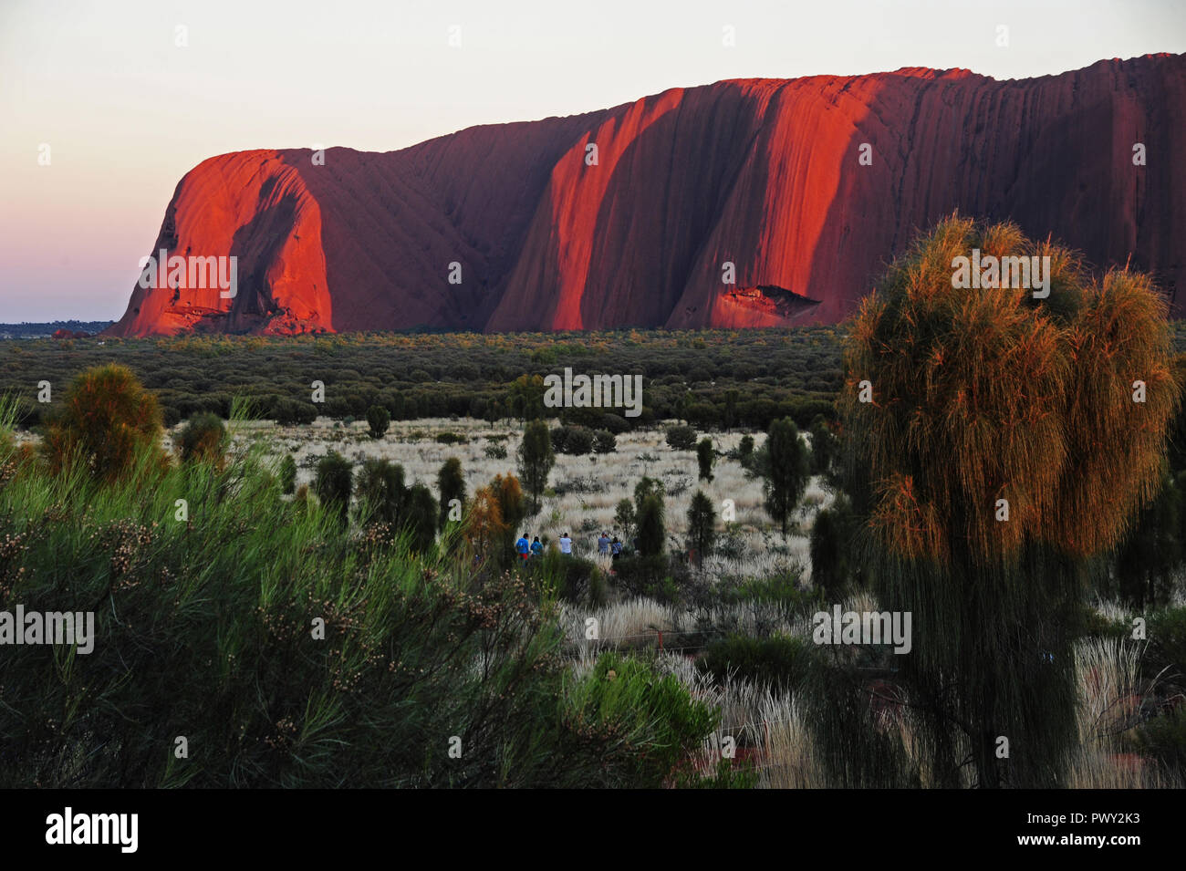 600 million years old hi-res stock photography and images - Alamy