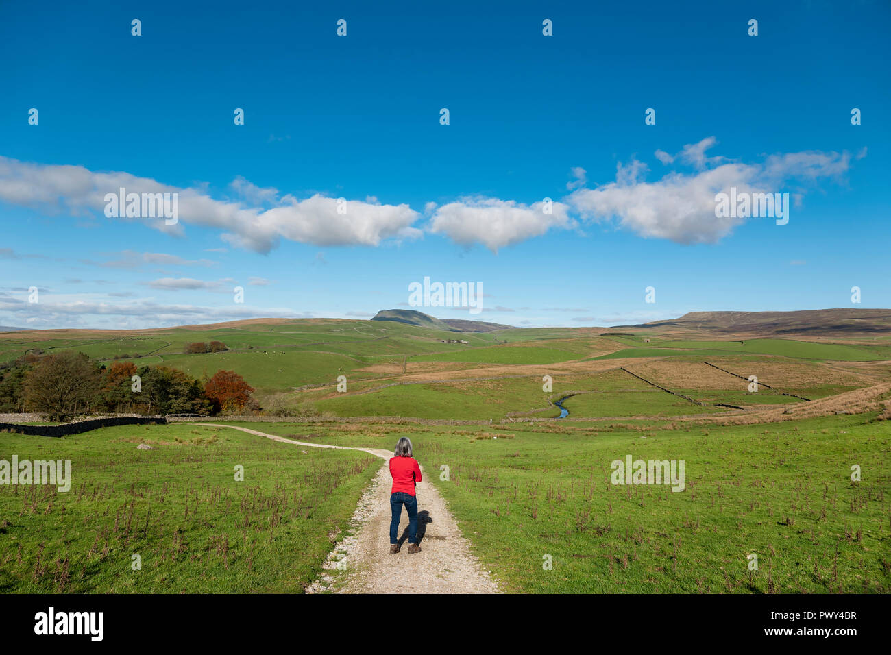 Most beautiful woman in england hi-res stock photography and images - Alamy