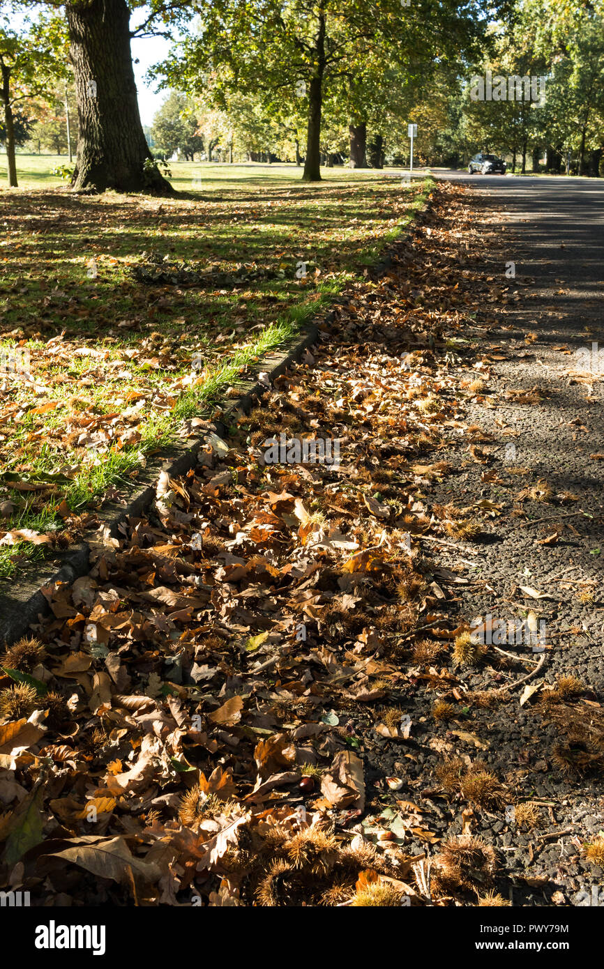 Fallen temperatures hi-res stock photography and images - Alamy