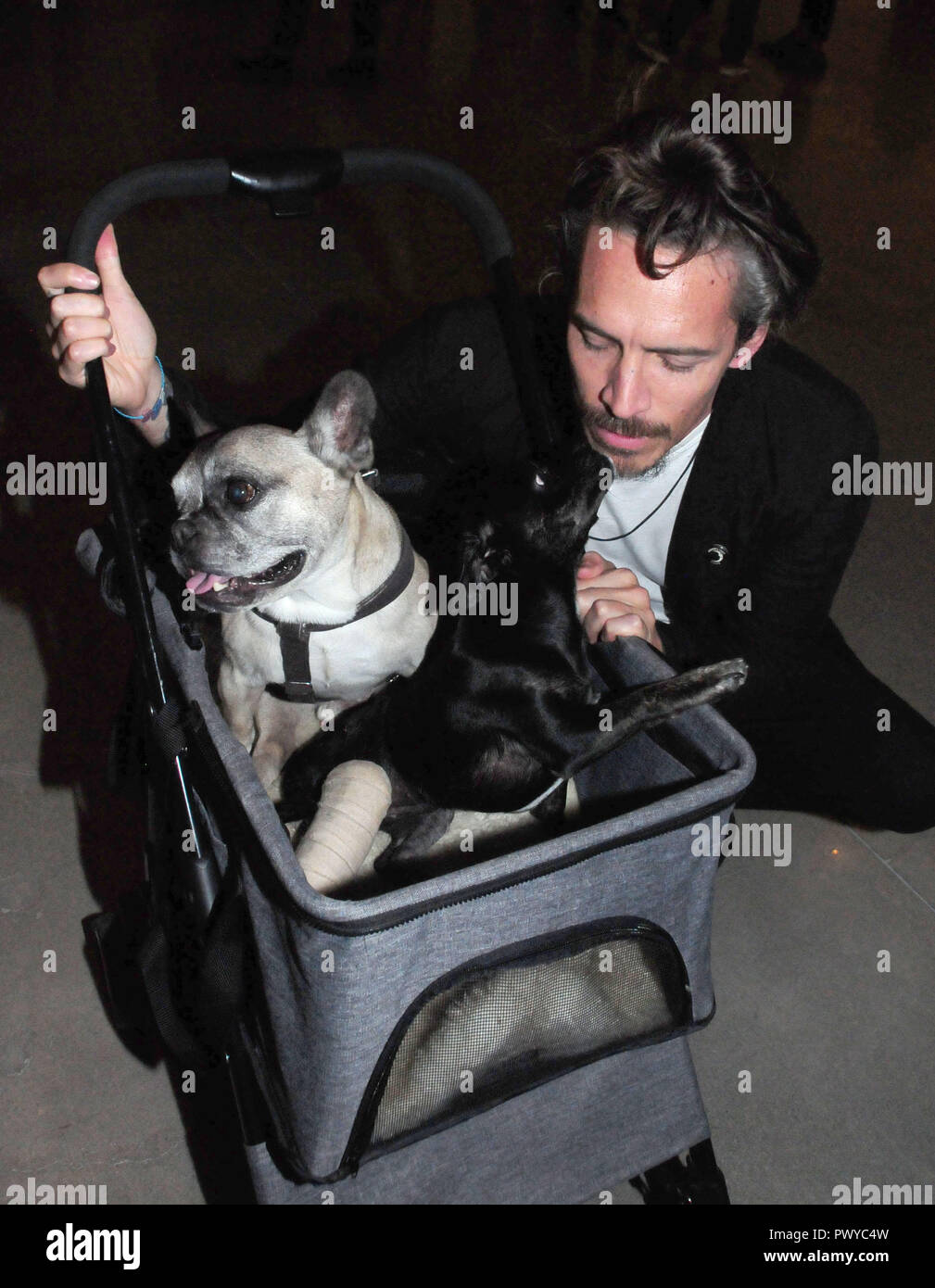 West Hollywood, California, USA. 18th October, 2018. Singer/musician ...