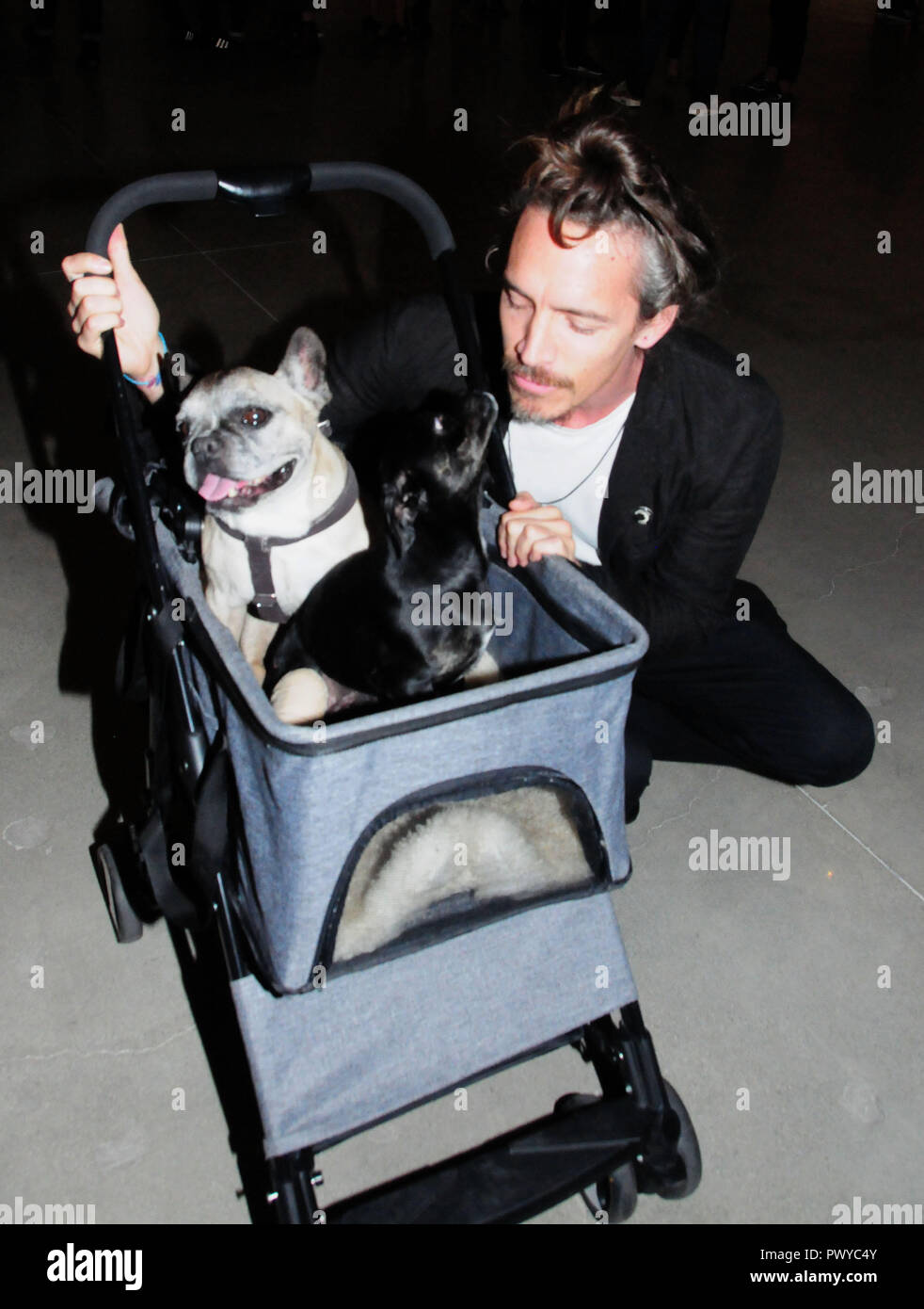 West Hollywood, California, USA. 18th October, 2018. Singer/musician ...