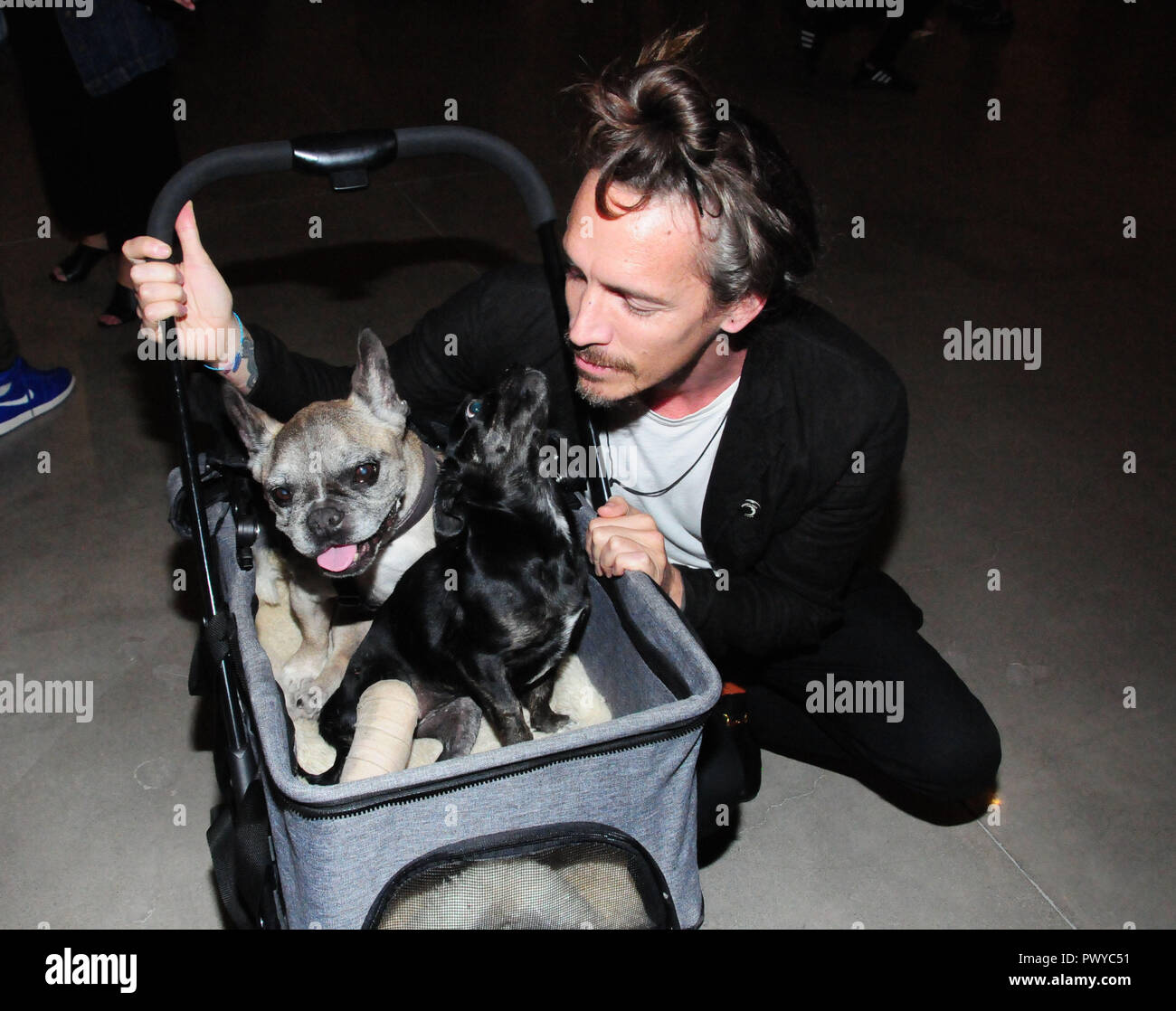 West Hollywood, California, USA. 18th October, 2018. Singer/musician ...