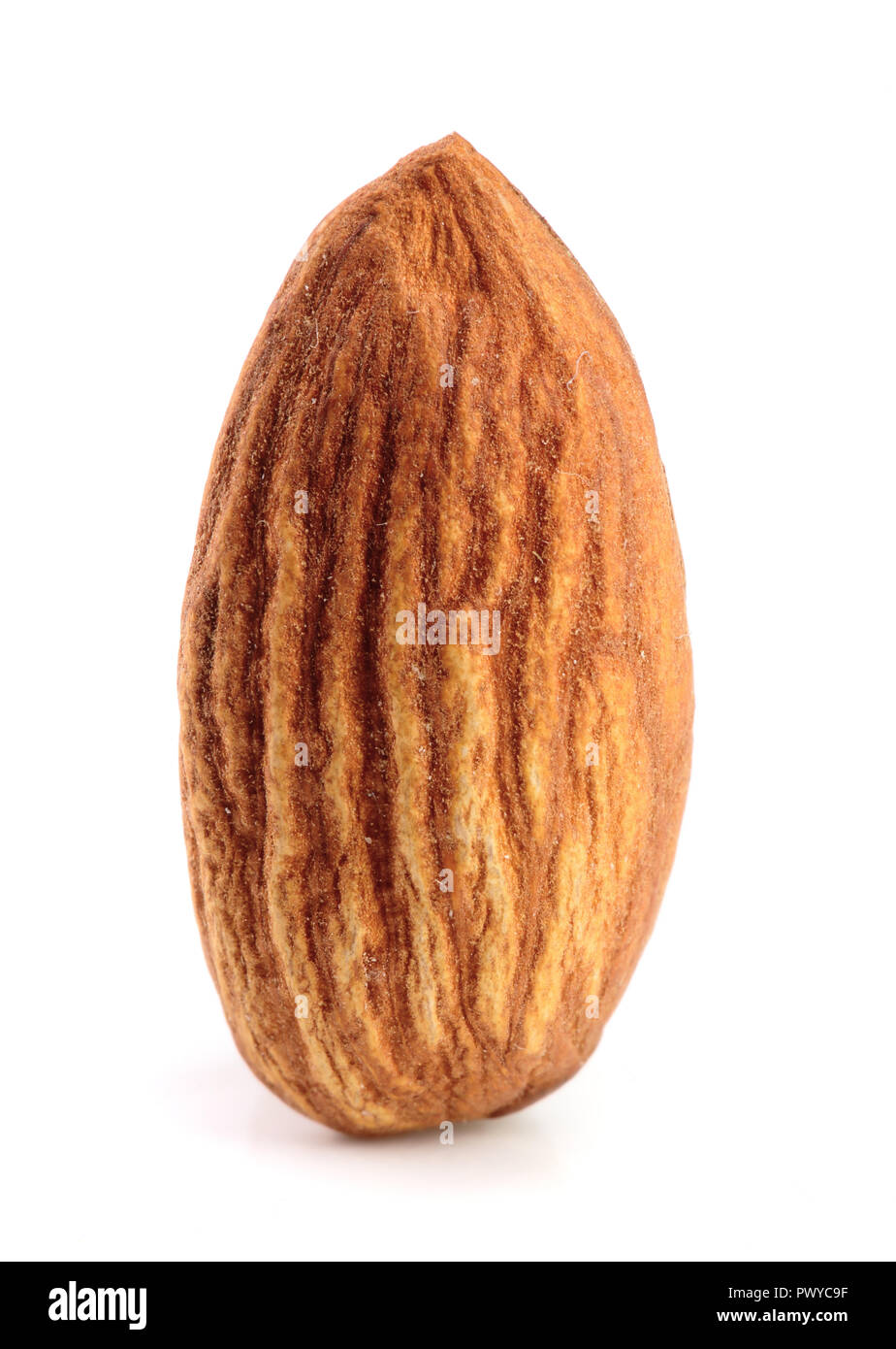 One almond isolated on white background macro Stock Photo - Alamy