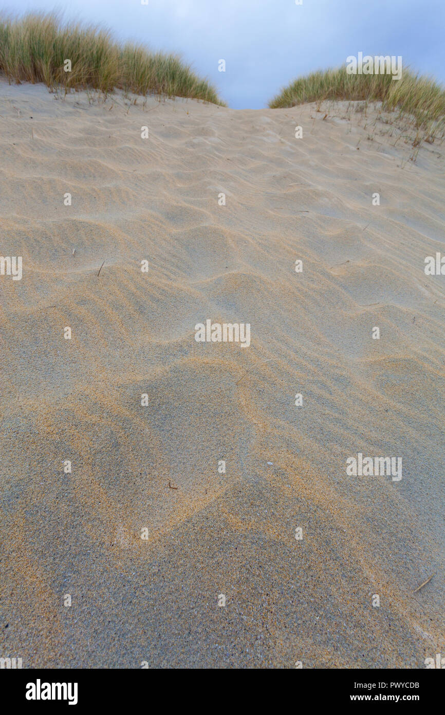 Ripples in a sand dune Stock Photo - Alamy