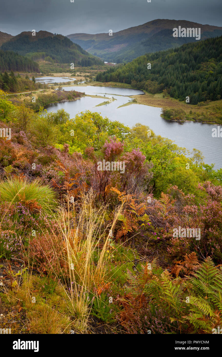 Doilet hi-res stock photography and images - Alamy