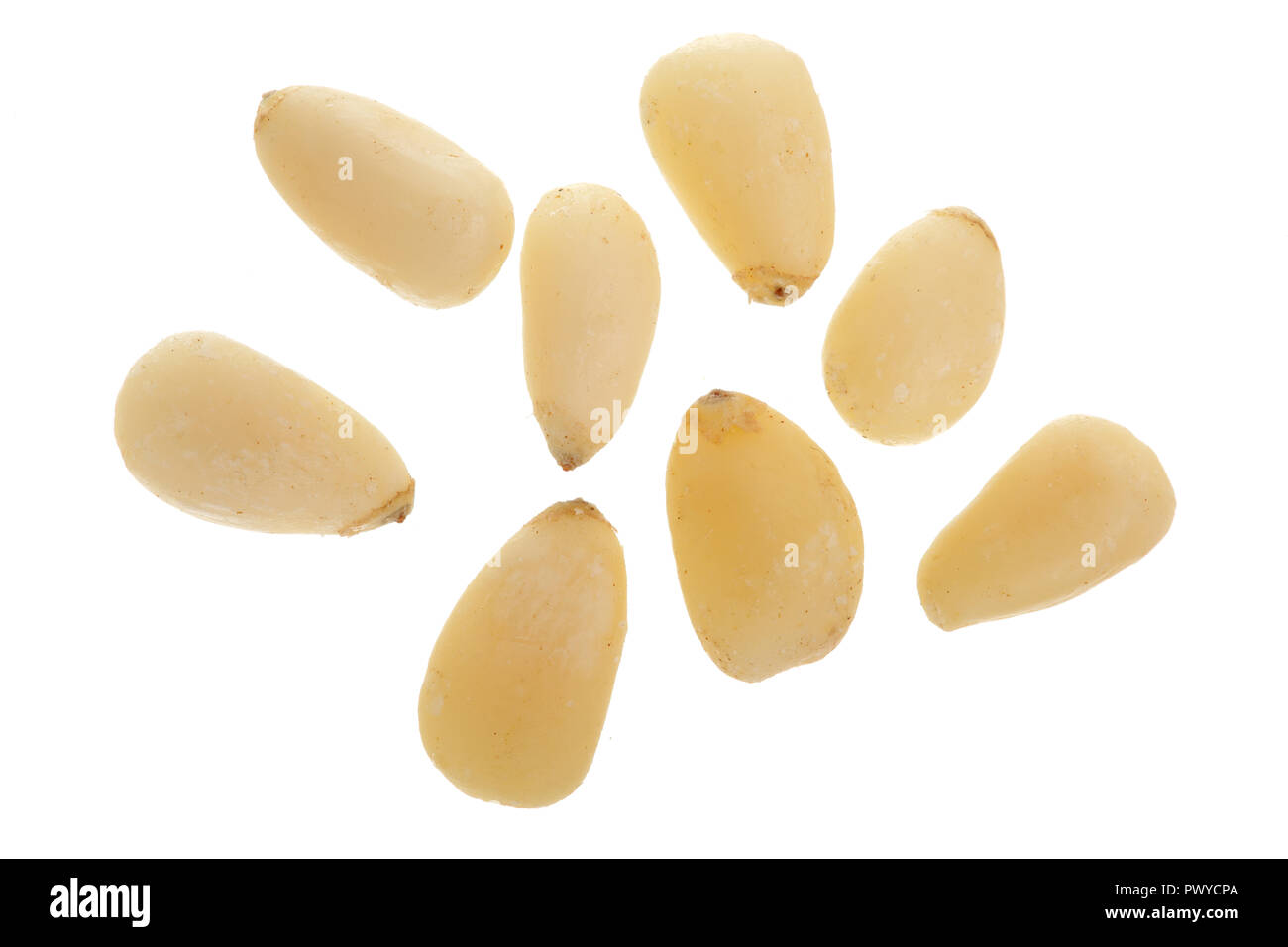 Shelled cedar pine nuts isolated on white background. top view Stock ...
