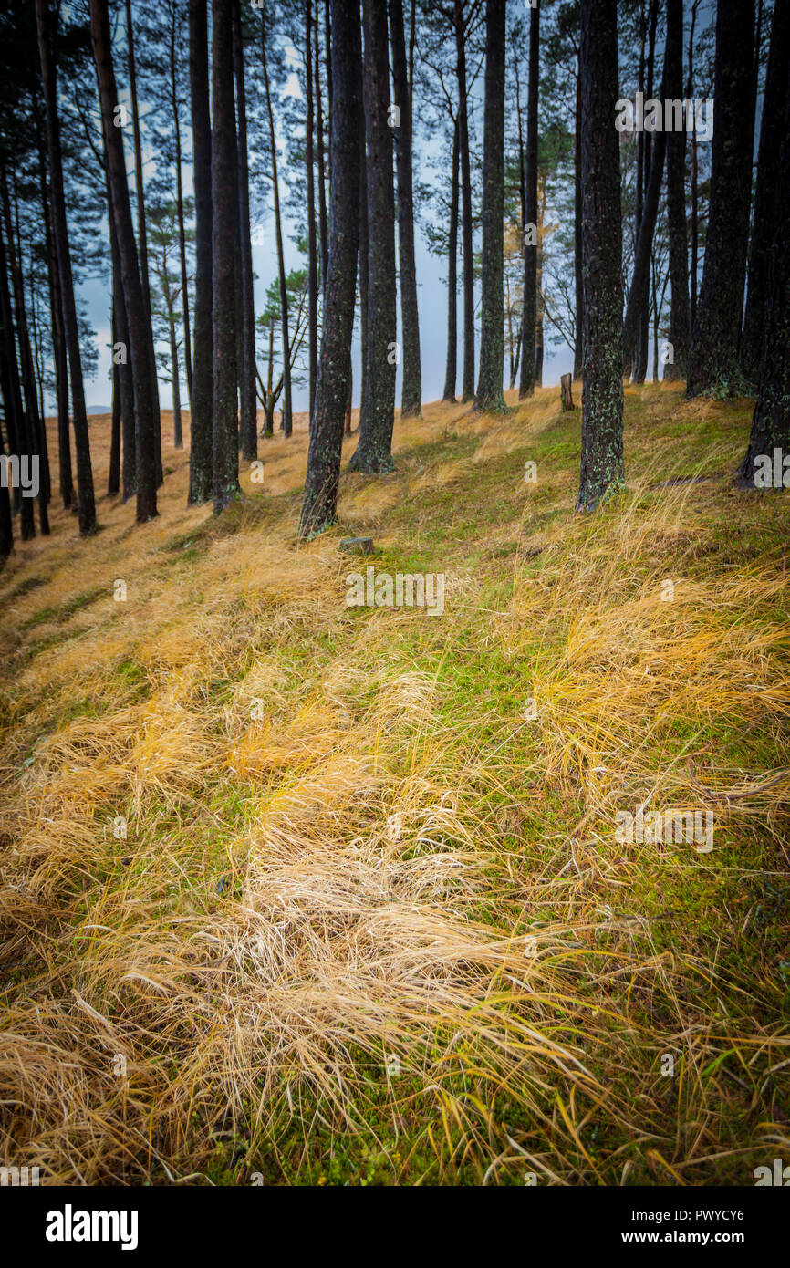 Grassy knoll hi-res stock photography and images - Alamy
