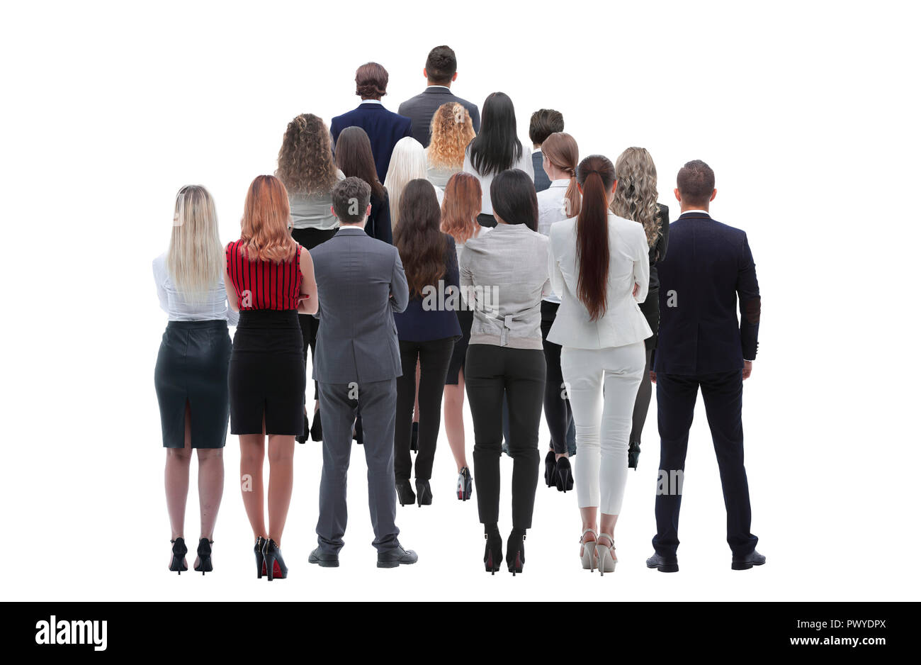 Back view group of business people. Rear view. Isolated over white ...