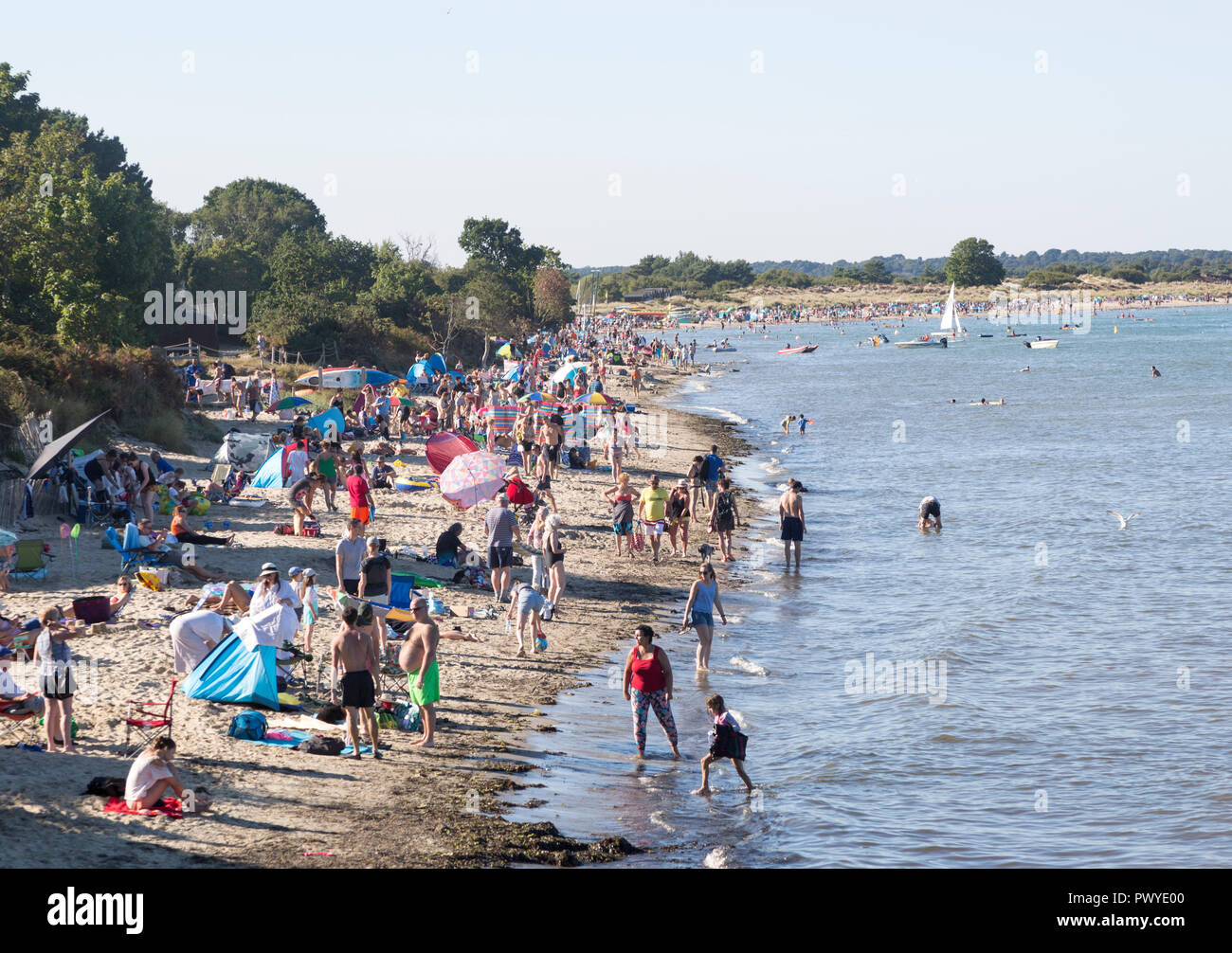 Studland bay and people hi-res stock photography and images - Alamy