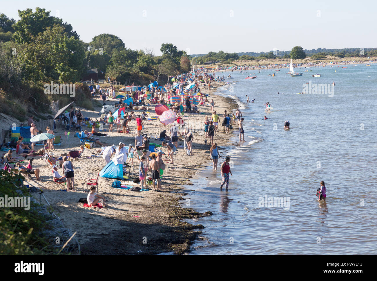 Late afternoon crowded summer sandy beach, Studland Bay, Swanage ...